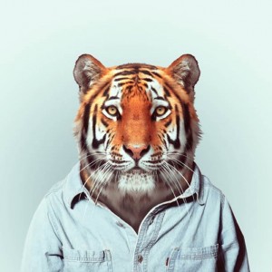 Zoo Portraits par Yago Partal