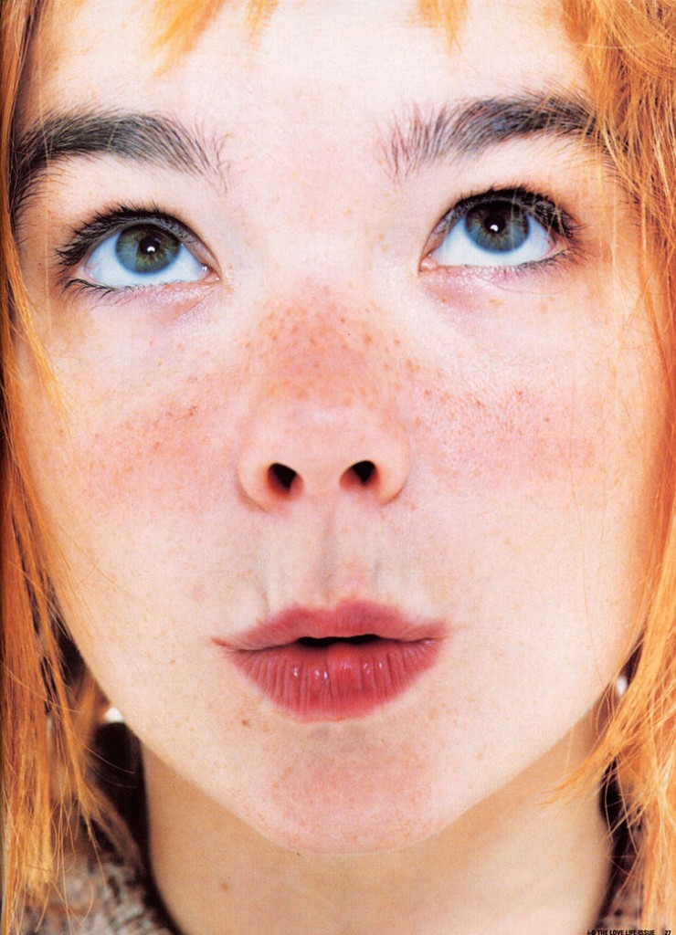 A Guide To Cool : Björk