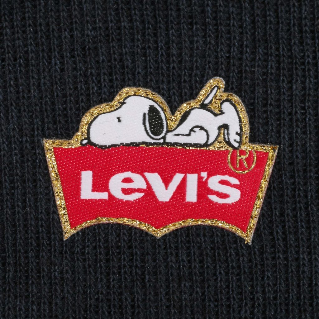 Snoopy is in the game