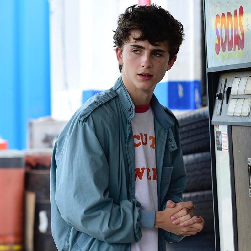 A Guide To Cool : Timothée Chalamet