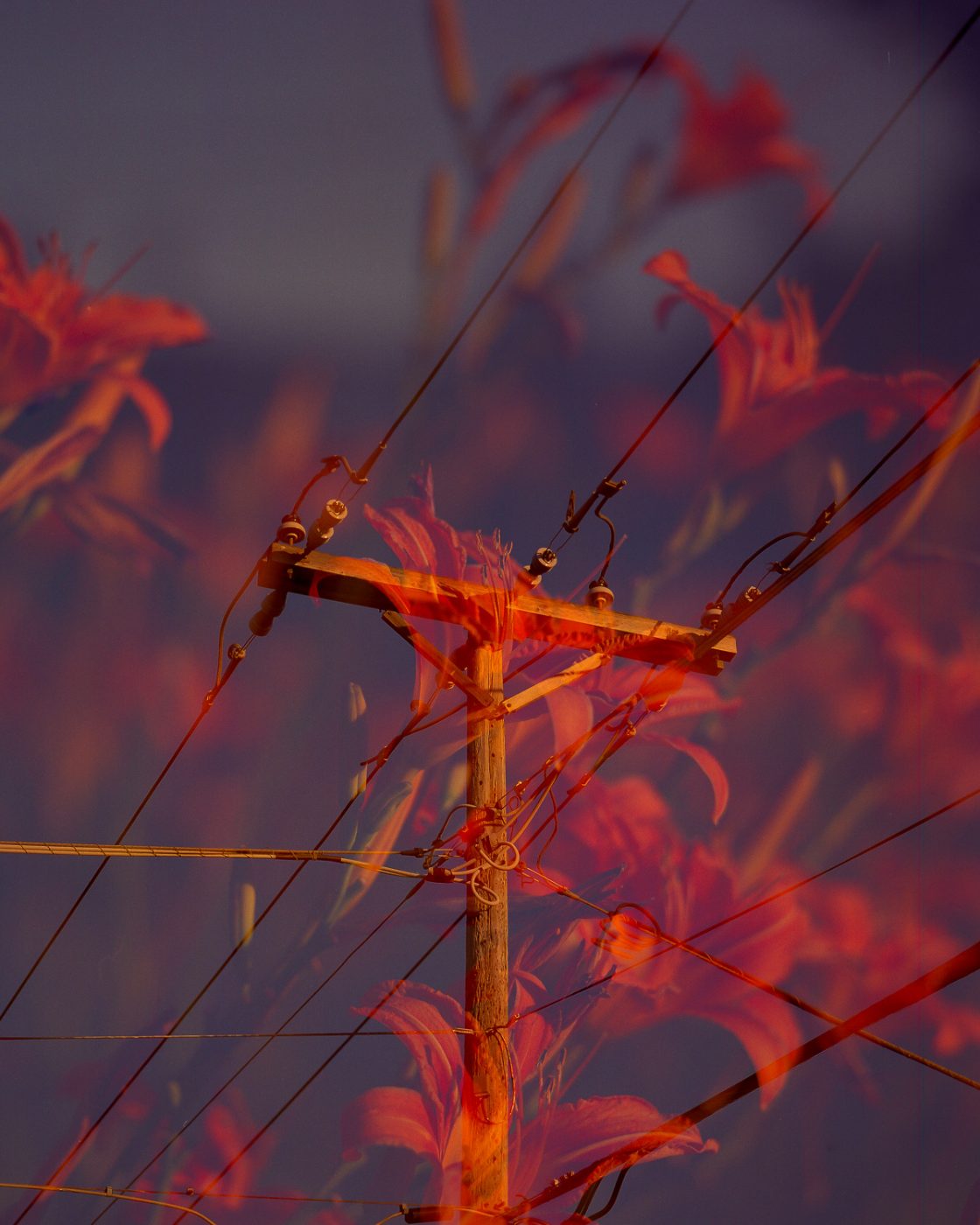 Thomas Jordan : passion Midwest