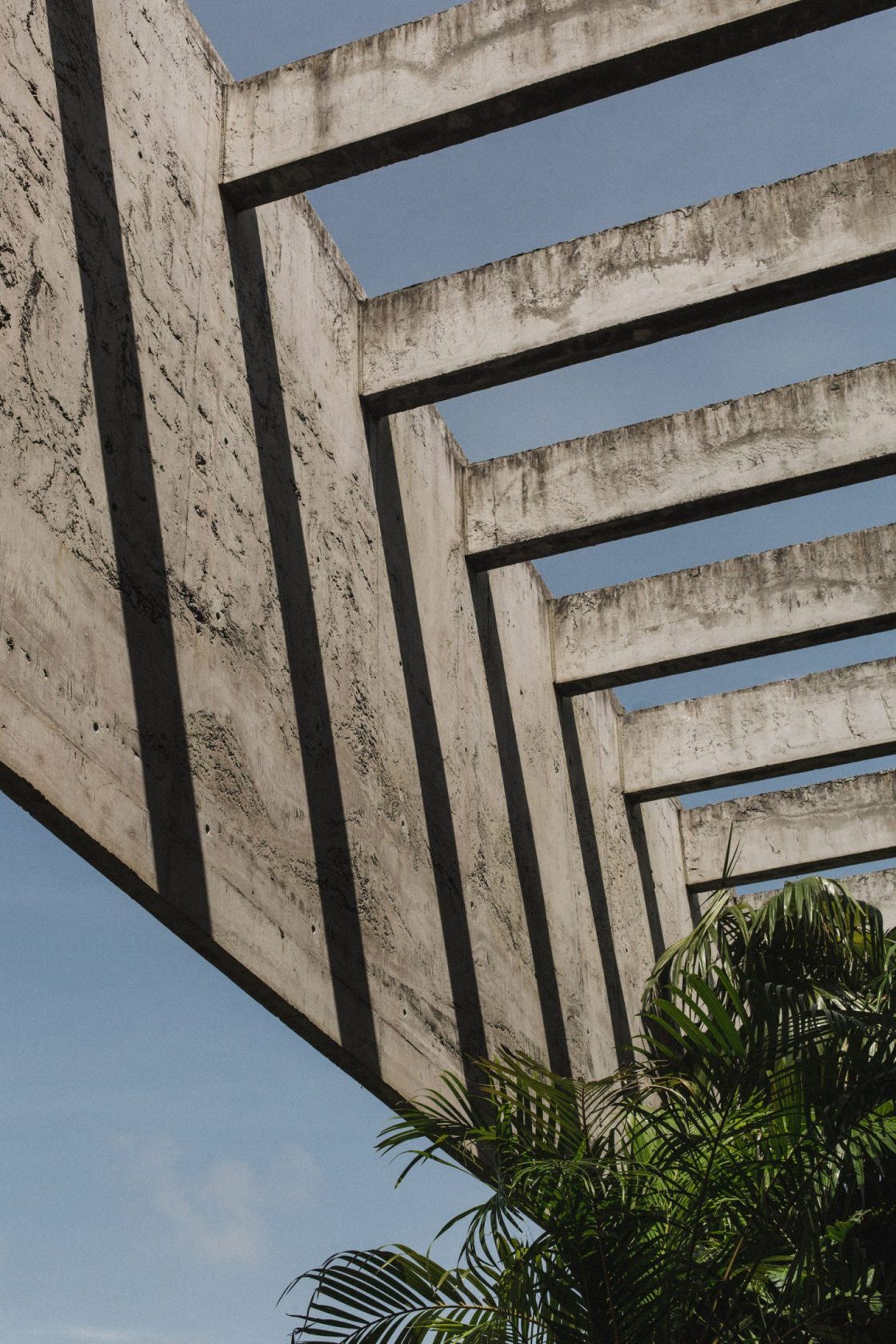 Patisandhika et Dan Mitchell : l'art du brutalisme tropical