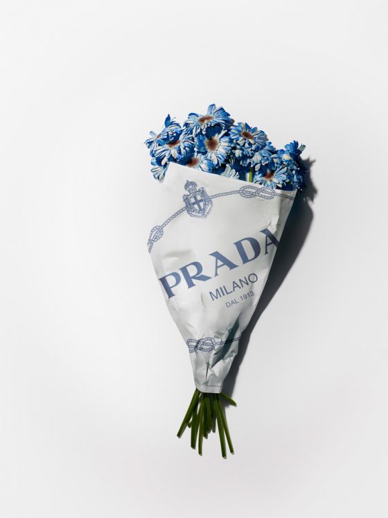 Dans sa dernière campagne, Prada le dit avec des fleurs