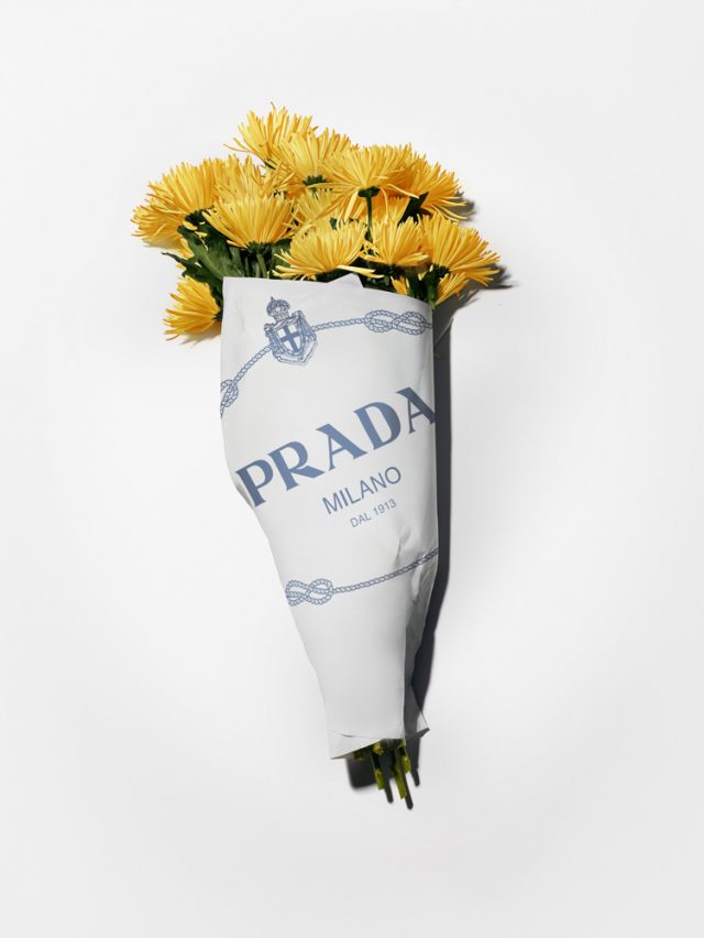 Dans sa dernière campagne, Prada le dit avec des fleurs