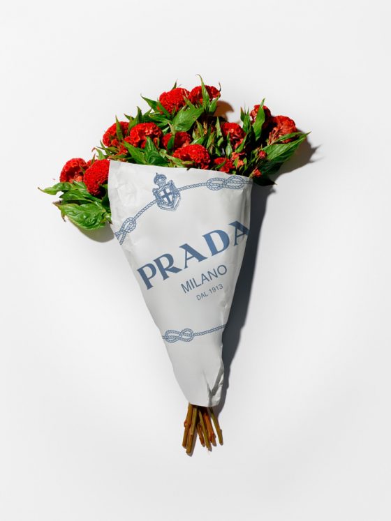 Dans sa dernière campagne, Prada le dit avec des fleurs