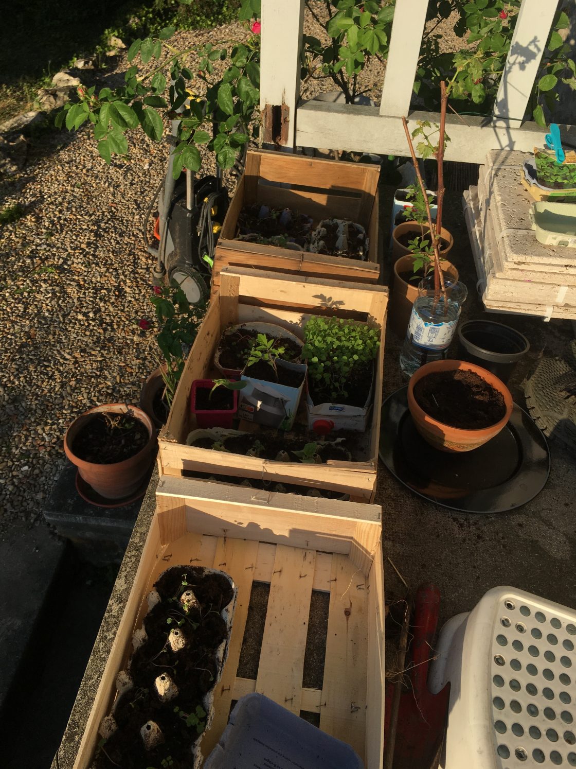 At home with Simon Baur