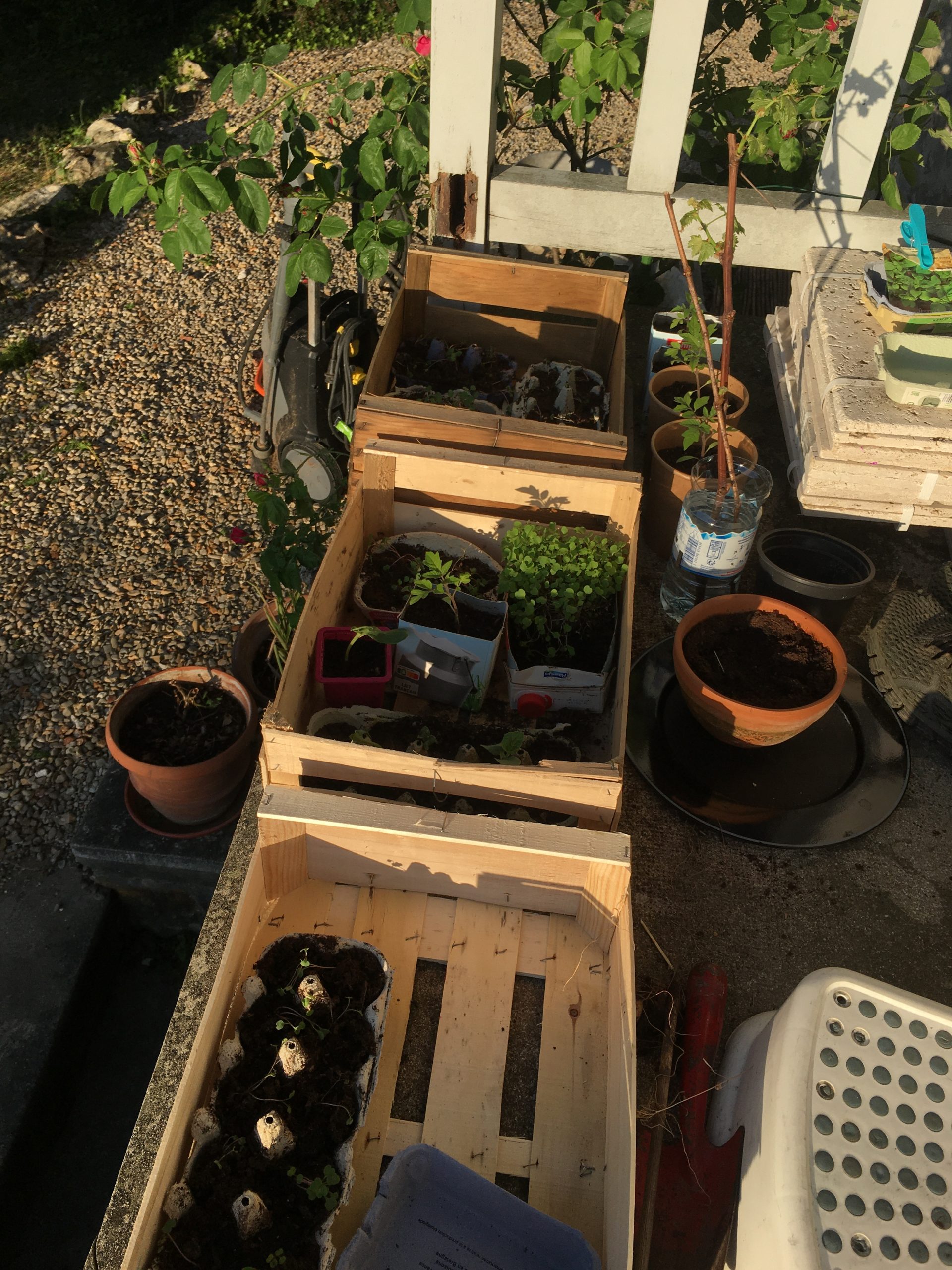 At home with Simon Baur